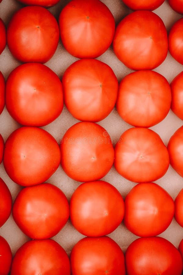 Fresh Red Tomatoes in the Box at the Local Market. Top View Stock Photo ...