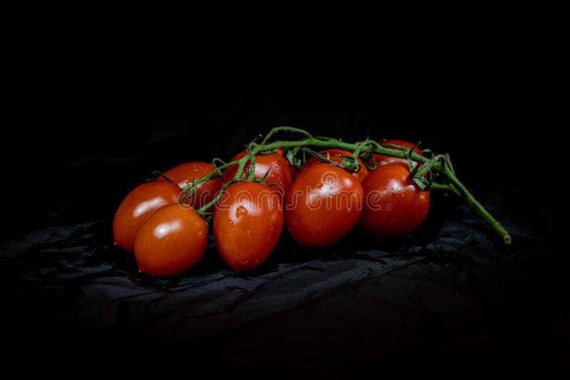 Fresh Red Tomatoes Isolated on Dark Background. Front View Stock Image ...