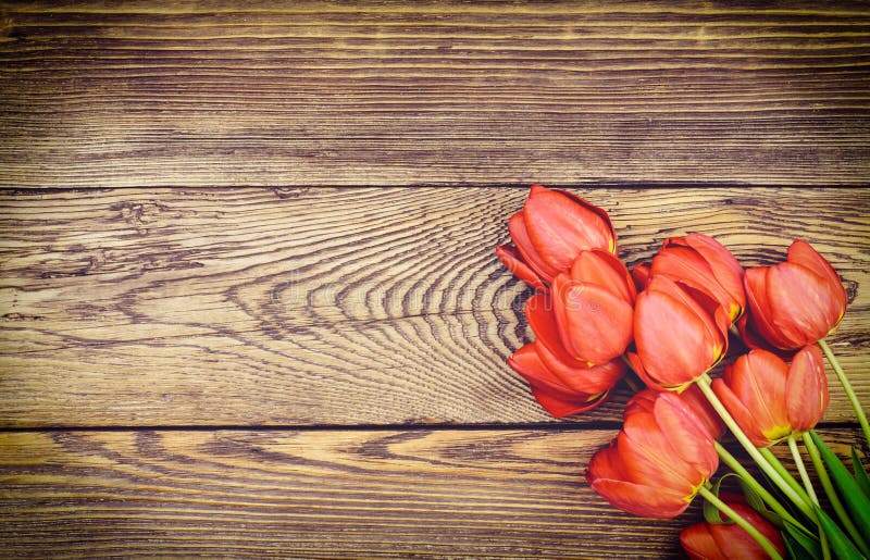 Fresh Red Tulips on a Wood Textured Background Stock Image - Image of ...