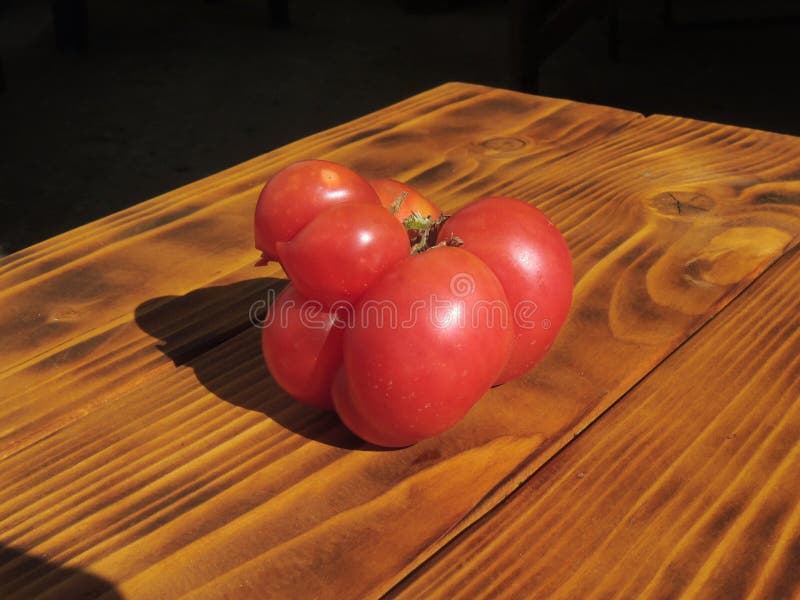 Fresh, Red Unnaturally Shaped Tomato Stock Image - Image of shape ...