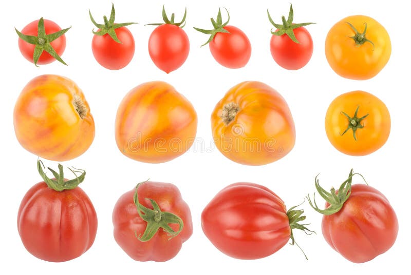 Fresh Red and Yellow Tomatoes from Different Angles Isolated on White ...