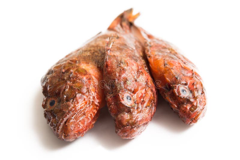 Fresh redfish stock photo. Image of food, restaurant - 74611310