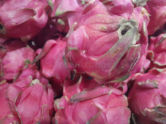 Fresh ref dragonfruits stock image. Image of petal, pink - 344243501
