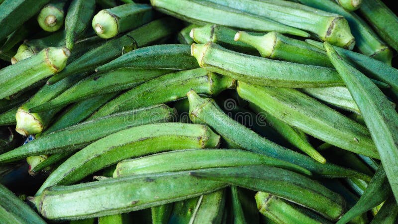 Reselle Fruits Stock Photos - Free & Royalty-Free Stock Photos from ...