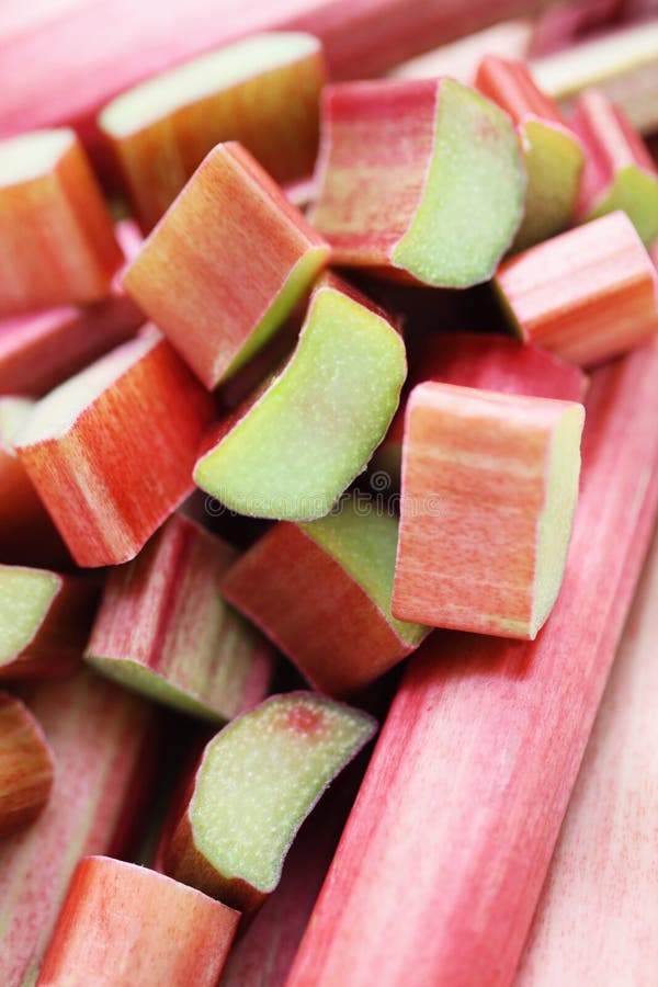 Fresh rhubarb stock image. Image of natural, dessert - 232201091