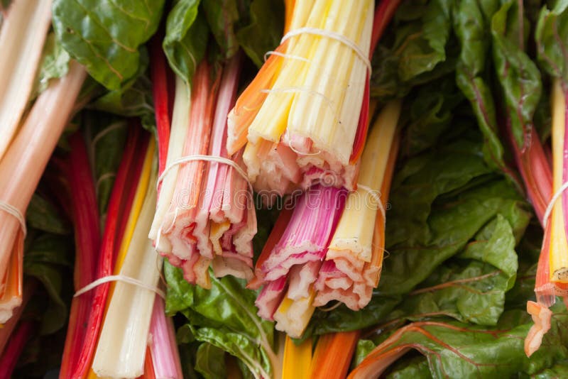 Fresh rhubarb stock image. Image of natural, dessert - 232201091