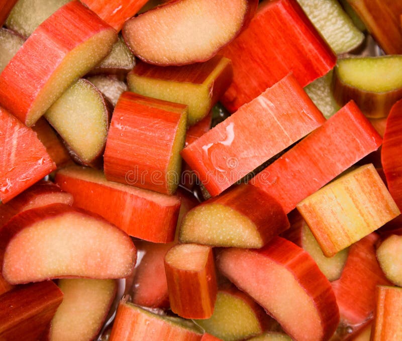 Fresh rhubarb stock photo. Image of organic, rheum, slice - 9141104