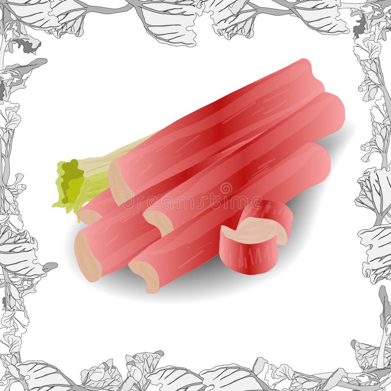 Rhubarb Vector Stock Illustrations – 486 Rhubarb Vector Stock ...