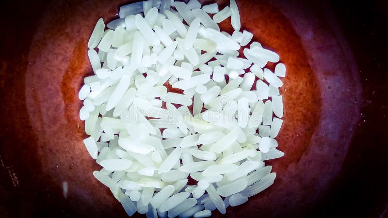 Fresh rice stock photo. Image of rice, health, commodity - 102982984