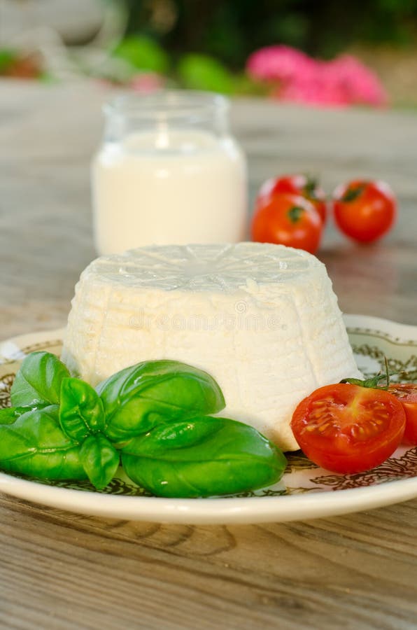 Fresh ricotta stock photo. Image of gastronomy, plate - 25970252