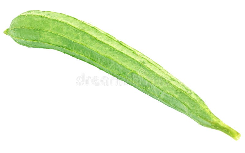 Fresh ridge gourd stock photo. Image of healthy, crop - 15664028