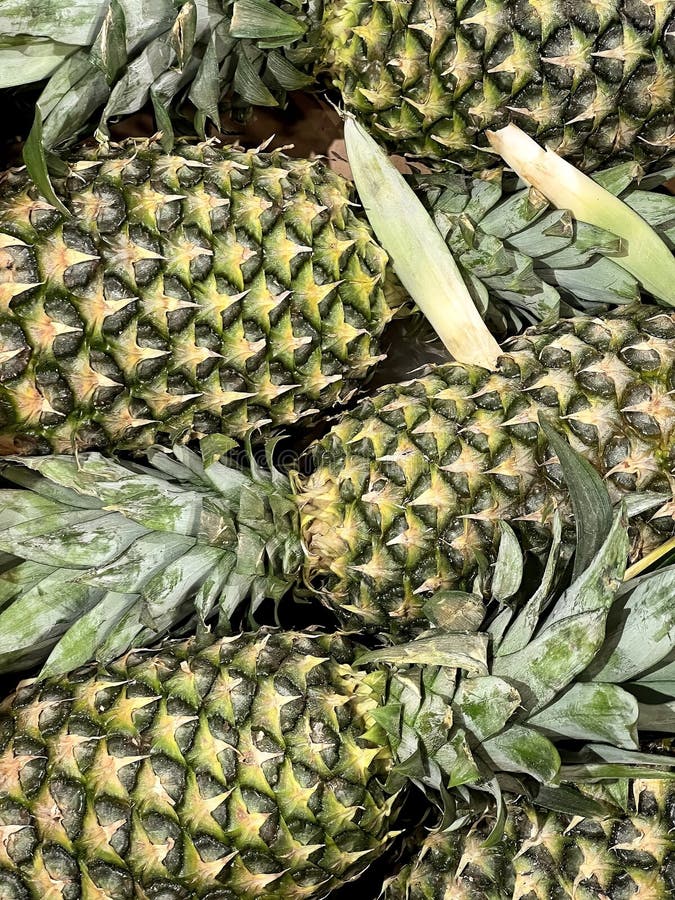 Ripe Ananas Fruit with Green Leaves Stock Photo - Image of background ...