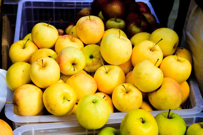 Fresh ripe apples stock image. Image of freshness, vegetarian - 37865783
