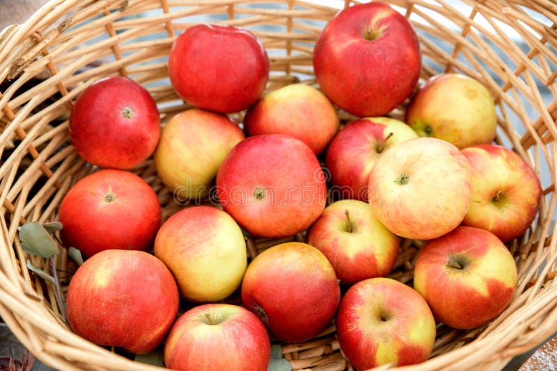 Fresh Ripe Apples in Basket Stock Photo - Image of agriculture, market ...