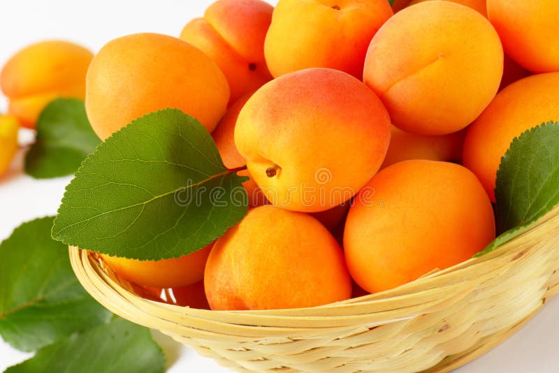 Fresh ripe apricots stock photo. Image of basket, fresh - 70747522