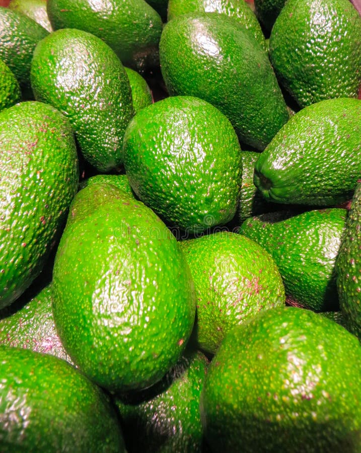 Fresh, Ripe Avocado Fruits in a Box Stock Photo - Image of juicy ...