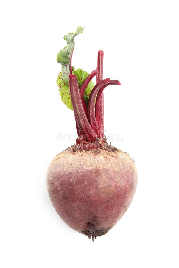 Beetroot isolated stock image. Image of health, beetroot - 19763043