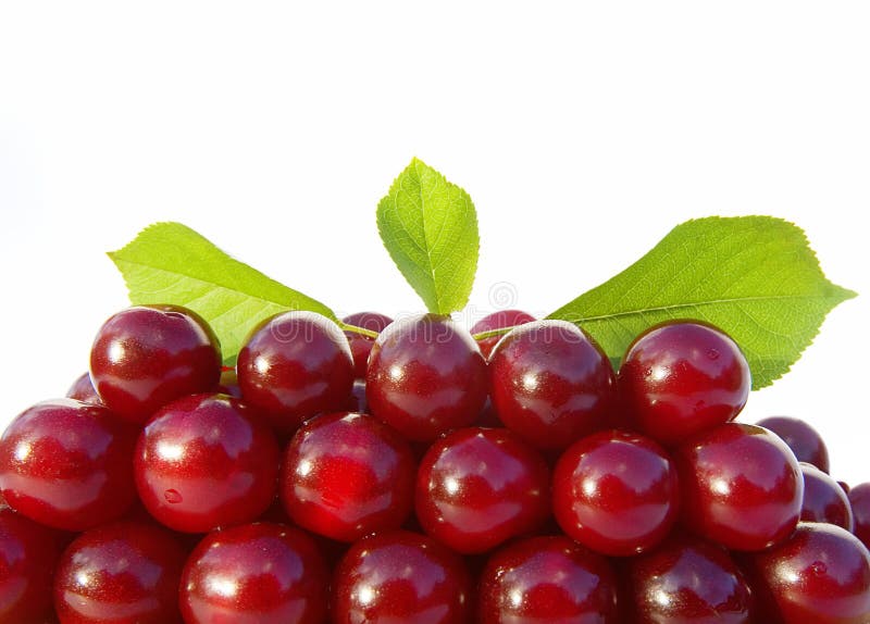 Fresh Ripe Cherries with Leaves Stock Photo - Image of cherry, eating ...