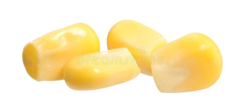 Fresh Ripe Corn Kernels Isolated on White Stock Image - Image of ...