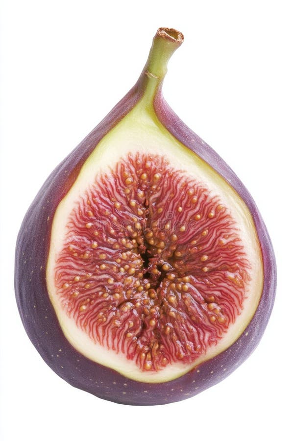 Fresh Ripe Fig Cut in Half Displaying Vibrant Interior Texture National ...