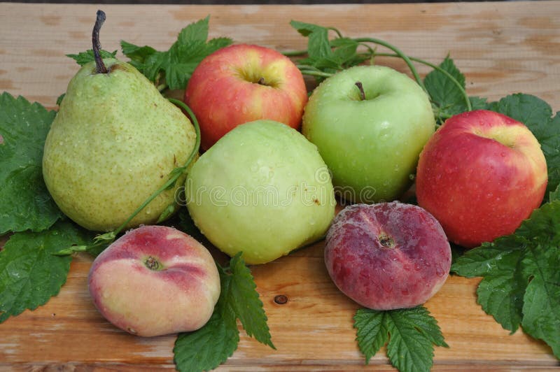 Fresh and ripe fruit stock photo. Image of taste, natural - 82181480