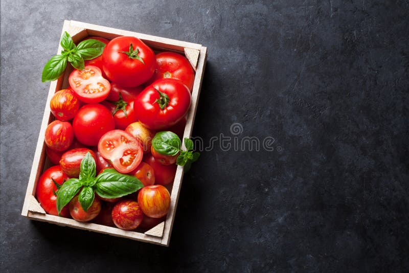 Fresh Ripe Garden Tomatoes and Basil Stock Image - Image of ripe ...