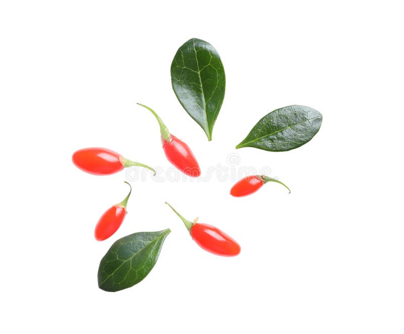 Fresh Ripe Goji Berries and Leaves on White, Top View Stock Image ...