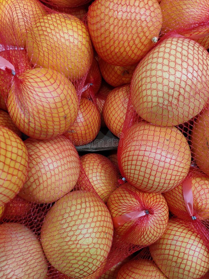 Fresh Ripe Grapefruits Packaged in Nets Stock Image - Image of wood ...