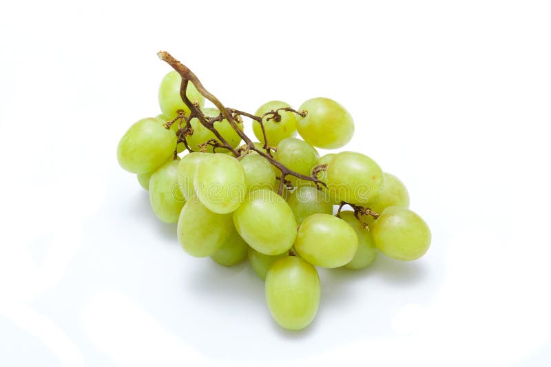 Fresh Ripe Grapes stock photo. Image of tendril, harvested - 370432554