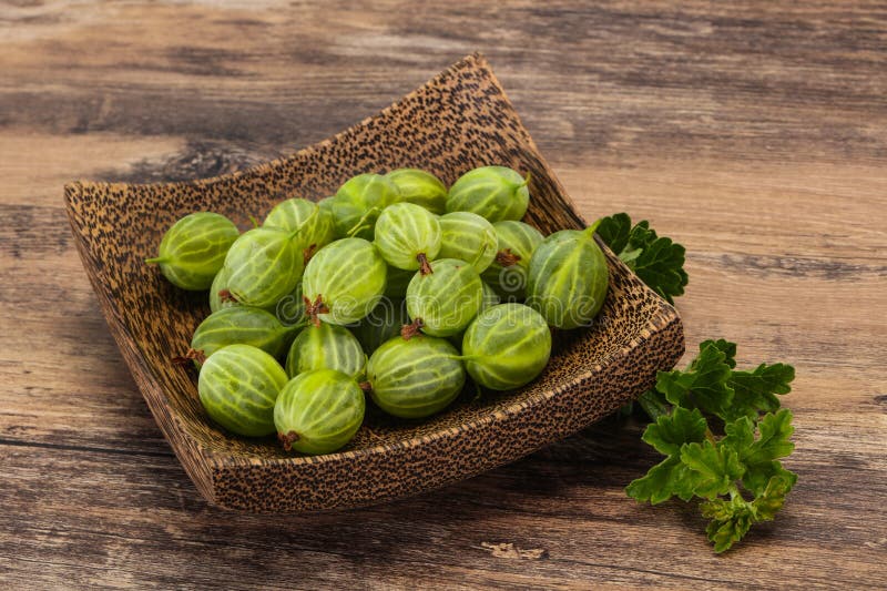 Fresh Ripe Green Sweet Gooseberry Stock Image - Image of harvest ...