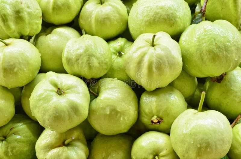 Ripe Guava Stock Photos - Download 6,242 Royalty Free Photos