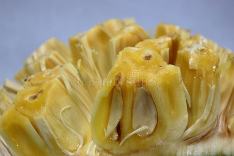 Jackfruit on White Background Stock Image - Image of vitamin, dessert ...