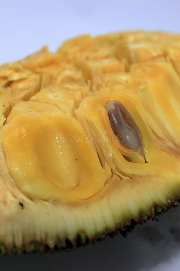 Jackfruit on White Background Stock Image - Image of natural, cook ...