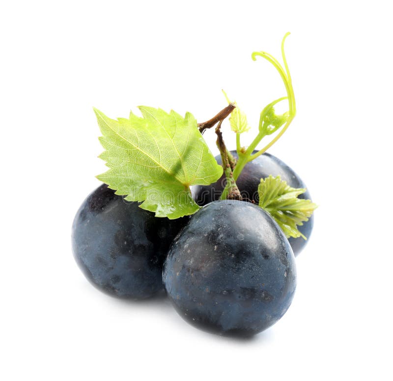 Fresh Ripe Juicy Black Grapes on White Stock Image - Image of green ...