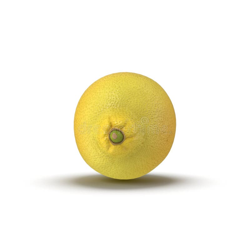 Fresh Ripe Lemon. Isolated on White Background. Front View. 3D ...