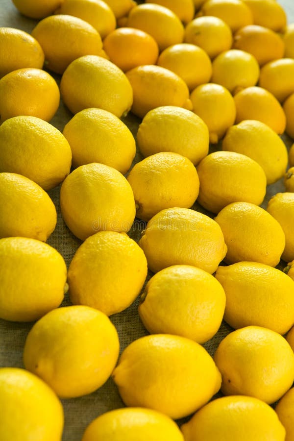 Fresh ripe lemons. stock photo. Image of health, vitamin - 208081894