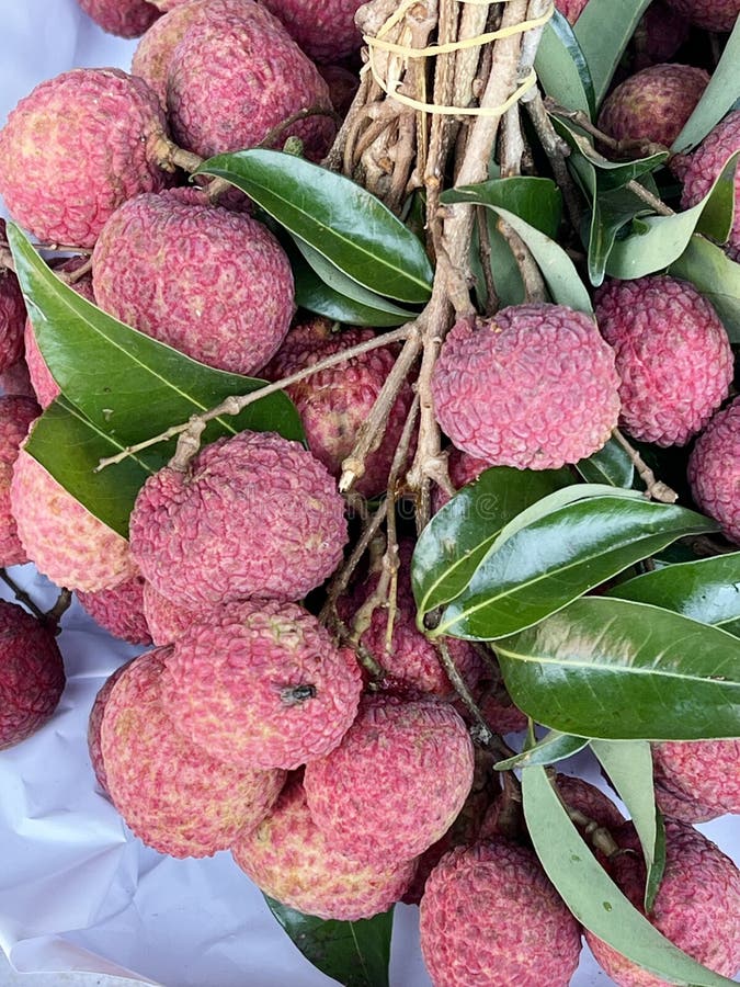 Fresh Ripe Lychee Fruit and Peeled Lychee with Green Leaves Stock Image ...
