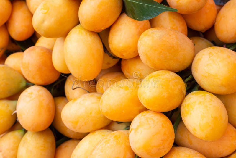 Maprang : tropical fruit stock image. Image of marketplace - 18774957