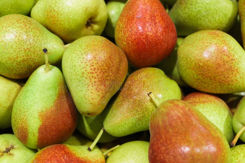 Box of Pears stock photo. Image of harvest, fresh, crate - 16154250