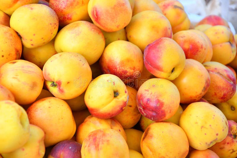 Fresh and ripe nectarines stock photo. Image of health - 98705486