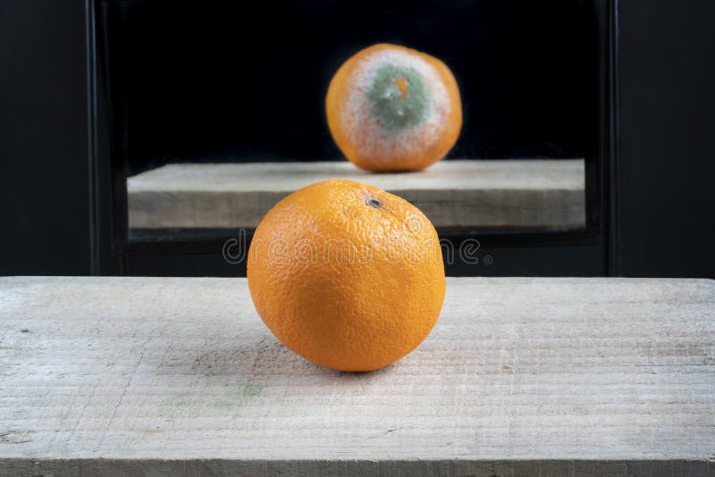 Fresh and Ripe Orange Fruit on Table Against Mirror Reflection with ...