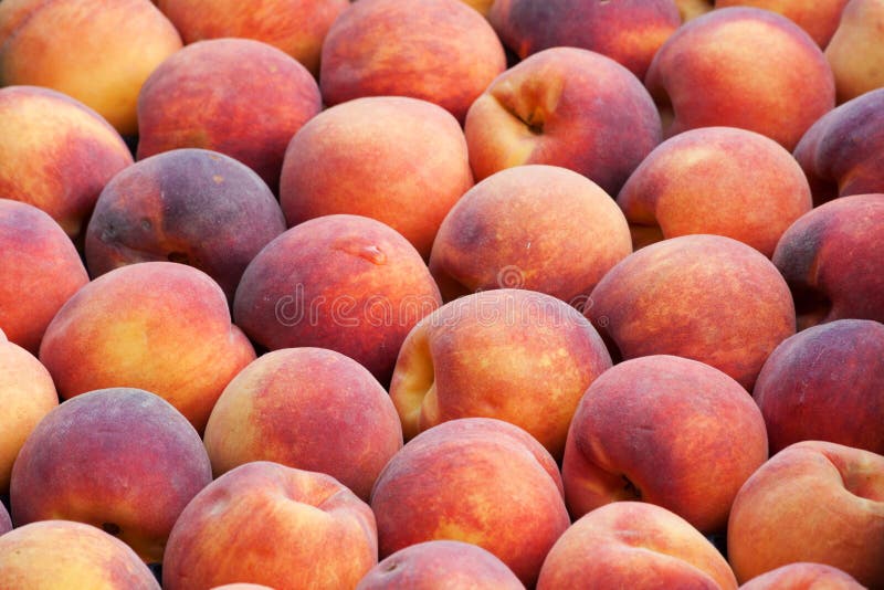 Fresh ripe peaches stock image. Image of fruit, food - 15913461