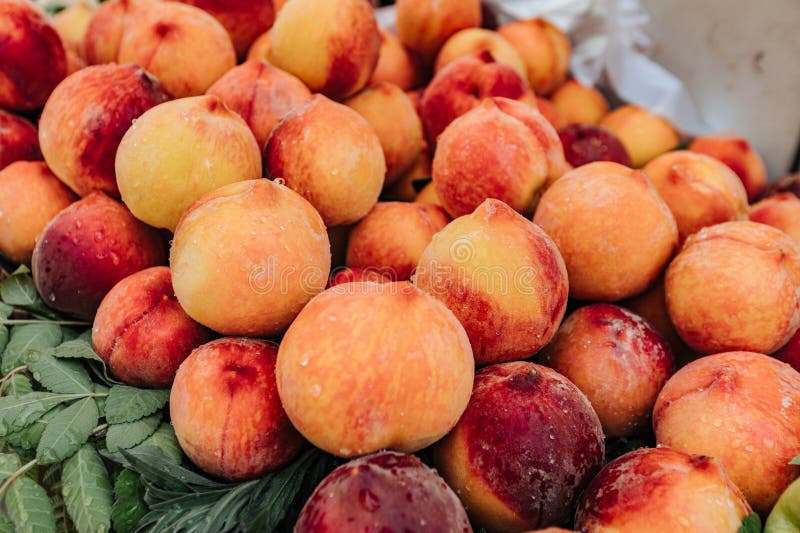 Peaches on market stock image. Image of food, peach, summer - 20674415