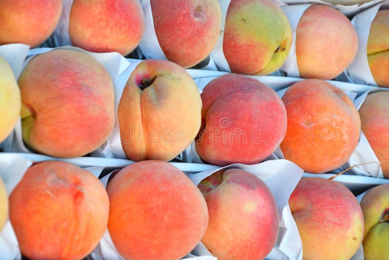 Fresh and ripe peaches stock image. Image of leaf, gourmet - 98561663