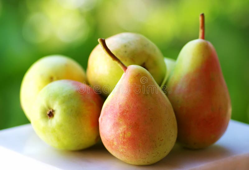 Ripe pears in a fruit bowl stock photo. Image of pears - 117564956