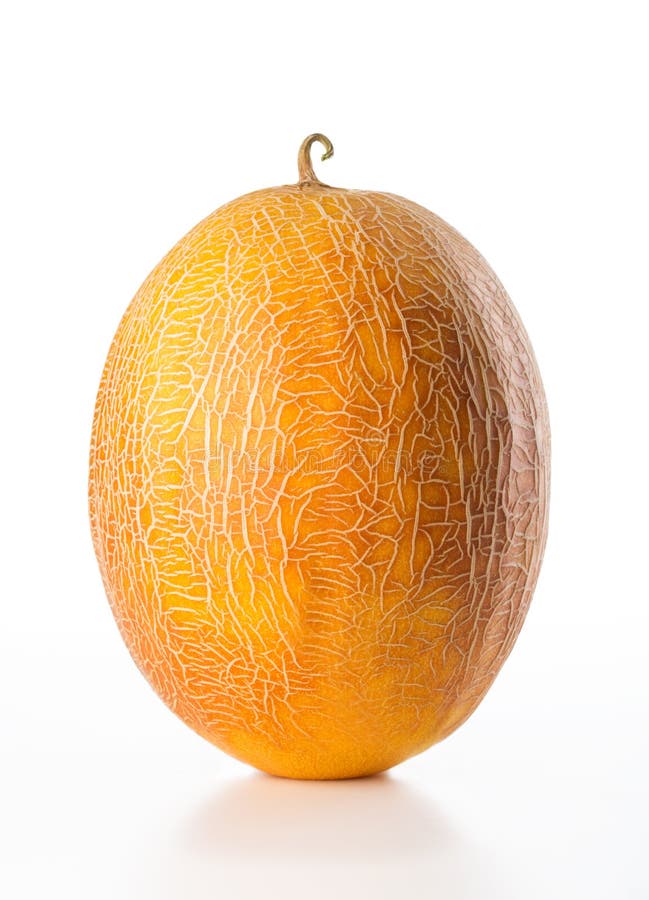 Fresh Ripe Perfect Beautiful Natural Fruit Melon Stock Photo - Image of ...