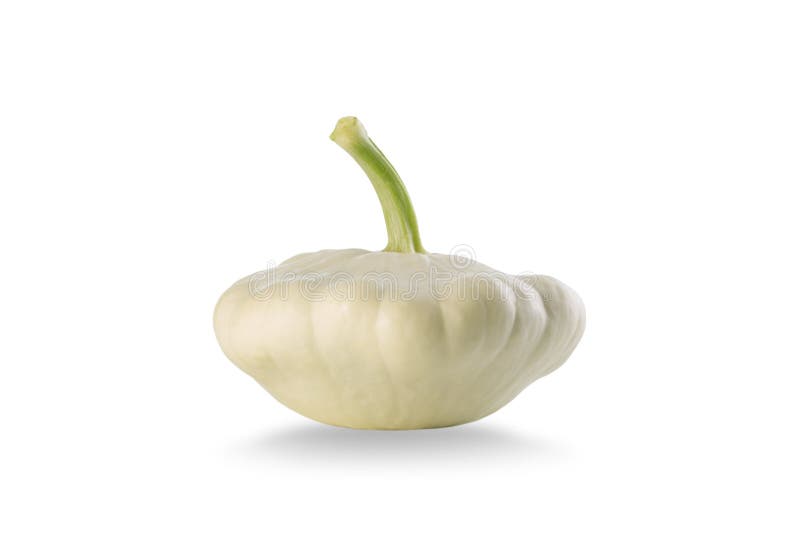 Fresh Ripe Perfect Beautiful Natural Vegetable Squash Stock Photo ...