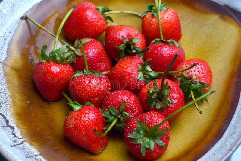 Fresh Ripe Perfect Strawberry Stock Image - Image of berry, dessert ...