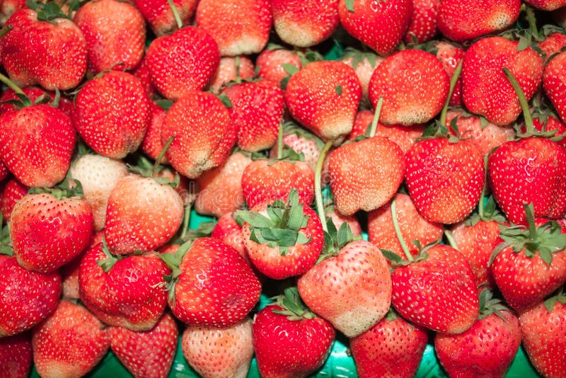 Fresh Ripe Perfect Strawberry Stock Image - Image of healthy, ripe ...