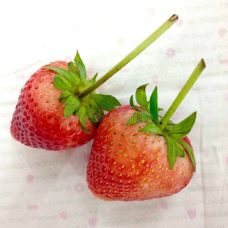 Fresh Ripe Perfect Strawberry Stock Photo - Image of organic, nature ...